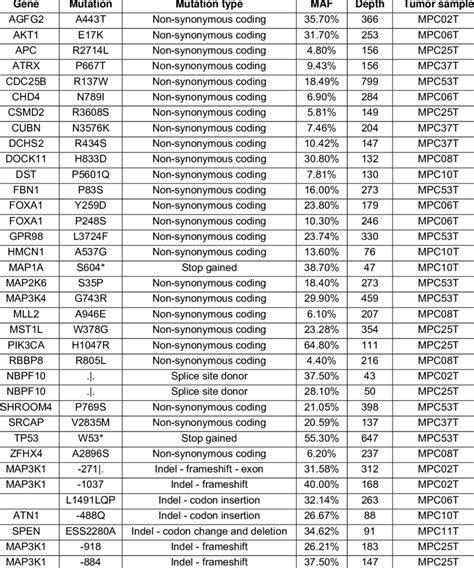 Somatic Mutations Identified By Massively Parallel Sequencing In Eight Download Table