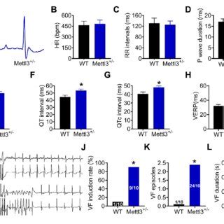 Prolonged QT And QTc Intervals And Increased Susceptibility To Download Scientific Diagram
