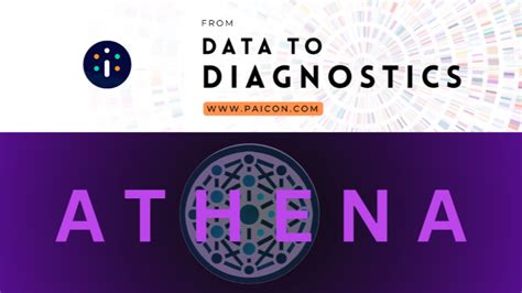 Paicon Recap Highlights From July