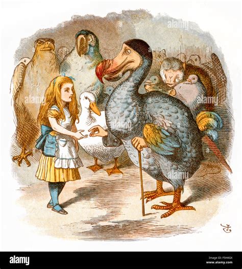 Alice In Wonderland Dodo