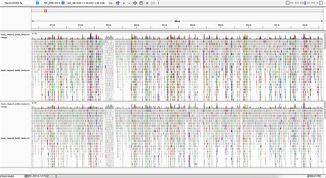 14 Genome Mapping Introduction To Ancient Metagenomics