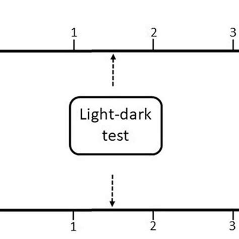 Ambulation In The Board Area A Ambulation In The Central Area B Download Scientific