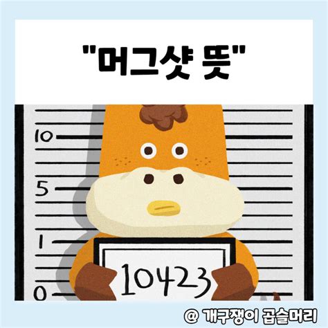 머그샷 뜻 범죄자 사진을 찍는 행위라고 합니다 네이버 블로그