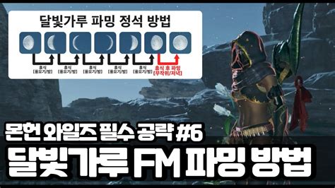 몬스터 헌터 와일즈 필수 공략 장식주 달빛가루 파밍 방법 이제 이게 답이 아닙니다 4월 4일 기준 Youtube