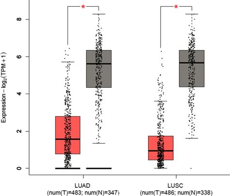 Bioinformatics‐based Differential Signature Scores Analysis In Box Download Scientific Diagram