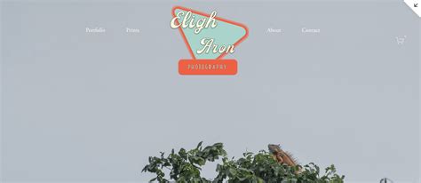 Help Moving Cart Icon Rsquarespace