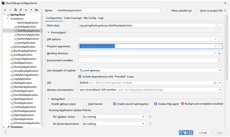 idea 设置环境： spring profiles active test dspring profiles active test