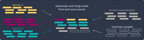 Simulating Sequencing Datasets Epi2me Blog