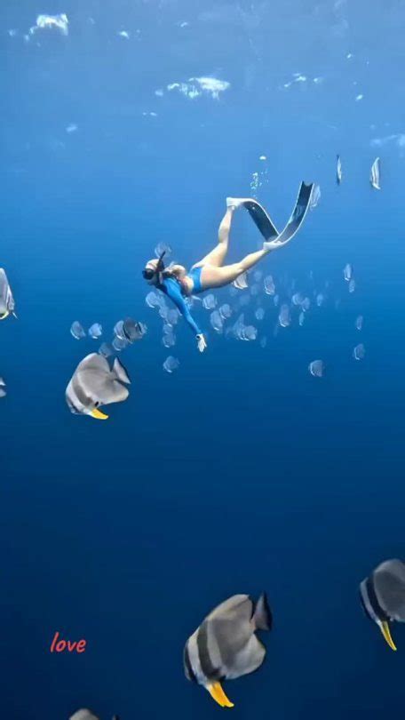 David W Floyd Art On Tumblr