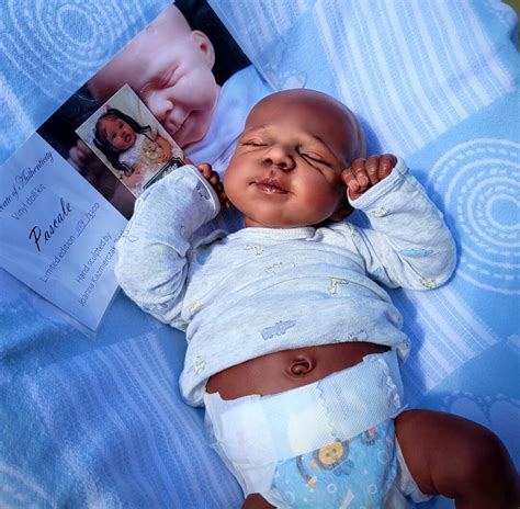 Adorable Pascal Reborn Doll Le Kit With Coa Etsy