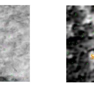 Template Matching Optimization Based On The Similarity Of The Local Download Scientific Diagram
