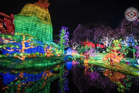 精彩回顾—自贡灯会官方网站