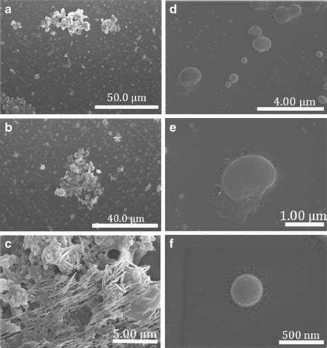 Particle Morphology Of Haze Collected From Urban Sites In Beijing The Download Scientific