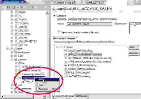 Create The Analytic Privilege For Hana Modeling
