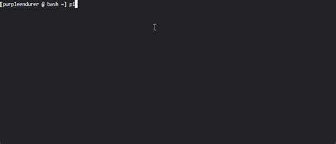 Linux Shell编程学习笔记66：ping命令 超详细的选项说明 Csdn博客