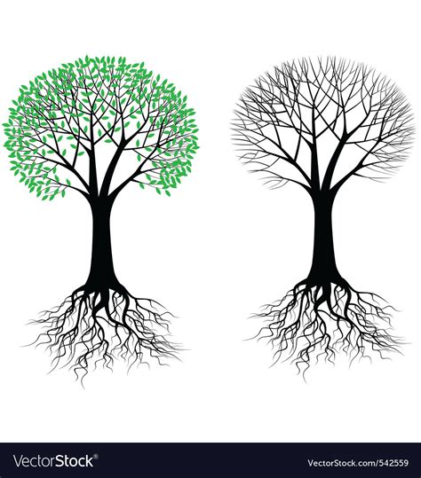 Tree And Root Royalty Free Vector Image VectorStock