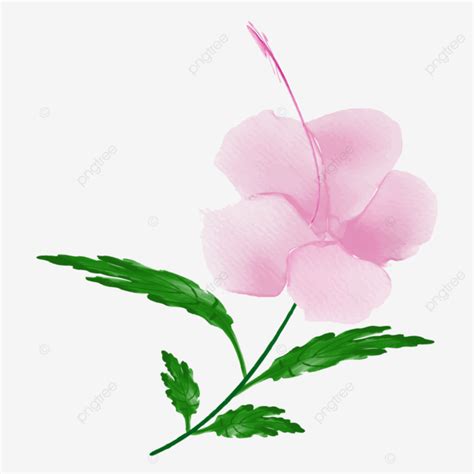 잎이 달린 분홍색 꽃 핑크 꽃 이파리 장미 Png 일러스트 및 벡터 에 대한 무료 다운로드 Pngtree