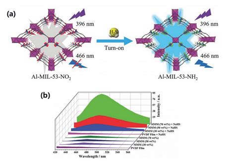 A Illustration Of Nitro No2 Functionalized Mof As A Download Scientific Diagram