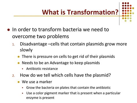 Ppt Bacterial Transformation Powerpoint Presentation Free Download