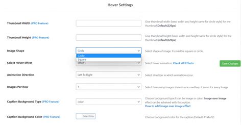 How To Add Image Hover Effects In WordPress Step By Step