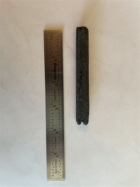 Help Identify Please Fossil ID The Fossil Forum Help Identify Please Fossil ID The Fossil Forum