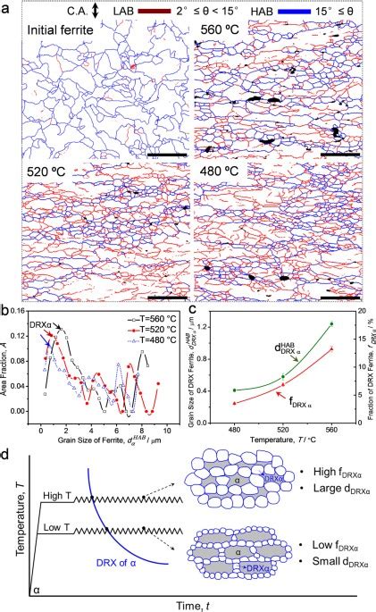 Combination Of Dynamic Transformation And Dynamic Recrystallization For Realizing Ultrafine
