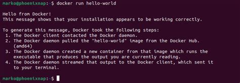 Docker Run Command Syntax Options Examples