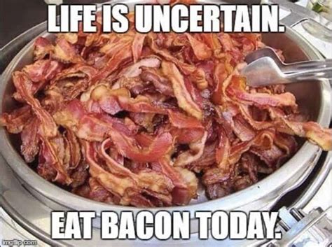 Best Bacon Memes For Bensa Bacon Lovers Society