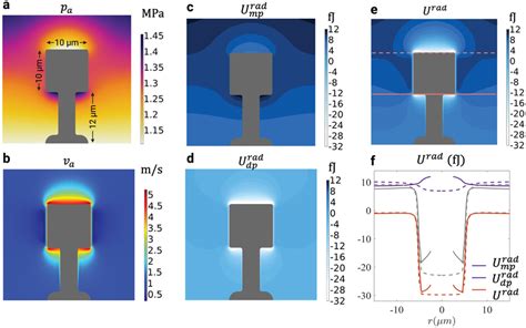 numerical modeling results for the axisymmetric structure with w h