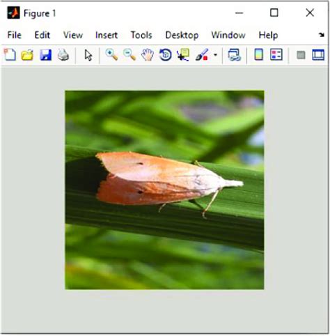 Represents The Input Image And Fig Indicates The Filtered Image Of Download Scientific