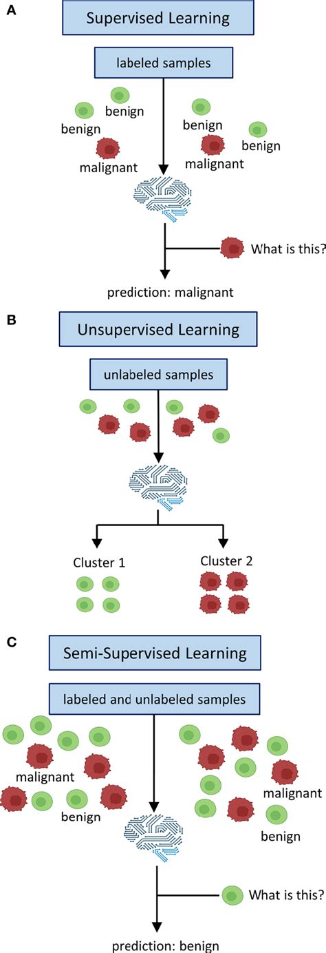 inputs and outputs of supervised unsupervised and semi supervised