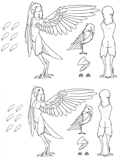 FREE BASE Bird Ref By BouleDeLainn On DeviantArt