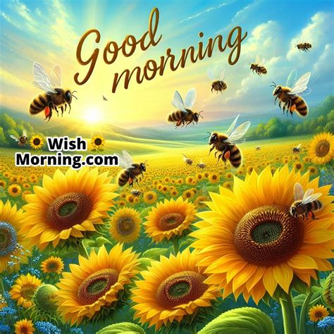 Good Morning Wishes With Buzzing Bee Inspiration Wish Morning