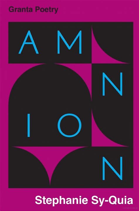 Amnion Shortlisted For The Felix Dennix Prize For First Collection