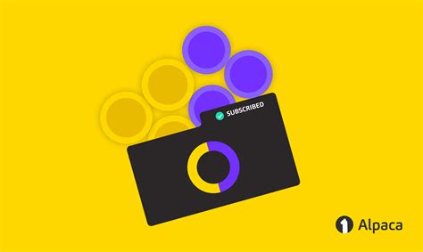 create custom portfolios that automatically invests funds with