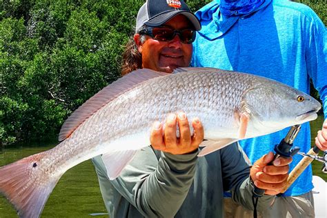Fishing Hacks To Catch More Redfish In The Spread