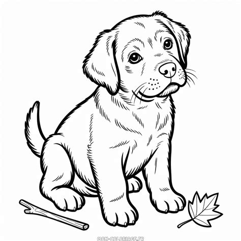 Coloriage Chien Réaliste Mignon Coloriages Gratuits à Imprimer Pour