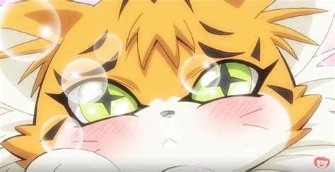 Meicoomon Digimon Adventure Digimon Adventure Tri Digimon