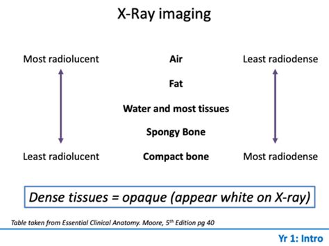 Intro To Imaging Flashcards Quizlet