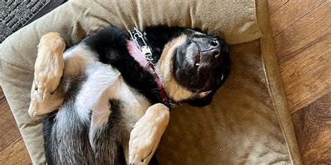 David R Miller Cscs Rscc Usaw Intl On Linkedin Fall23