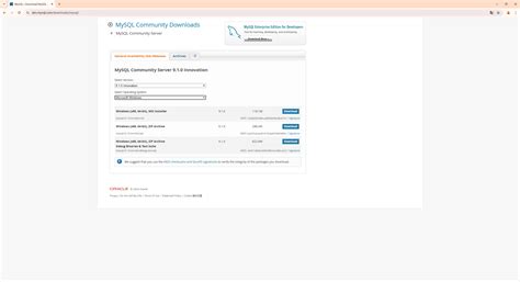 Mysql 80的下载安装 电车柳皮猫 博客园