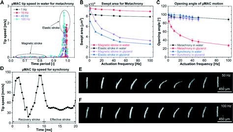 Metachronal Actuation Of Microscopic Magnetic Artificial Cilia Generates Strong Microfluidic