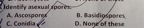 Identify Asexual Spores A Ascospores B Basidigspores C Conidia D No