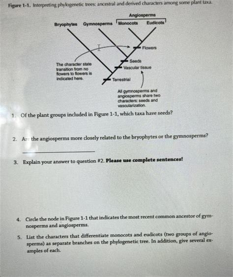 Solved Figure 1 1 Interpreting Phylogenetic Trees