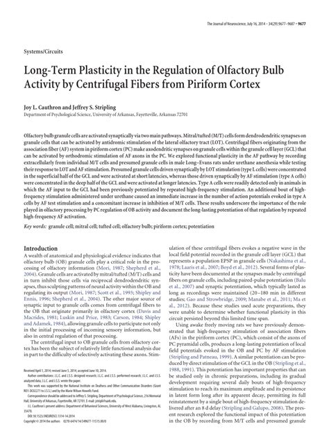 PDF Long Term Plasticity In The Regulation Of Olfactory Bulb Activity By Centrifugal Fibers