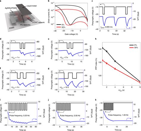 Stretchable Synaptic Transistor Based On The S Cnt Network A Schematic Download Scientific