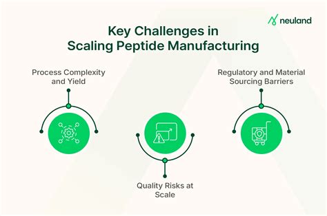 Peptide Manufacturing What To Expect From Your Cdmo Partner