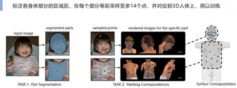 Ai实战营：人体姿态估计与mmpose Ai人体姿态 算法库 Csdn博客