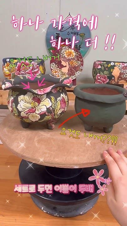 이쁜건 두개 ️ 행복은 두배 ️ 특가 이쁜화분 多肉植物 다육이 다육식물 다육 화분 수제화분 Flowers Shorts Vlog 식물키우기 열대야