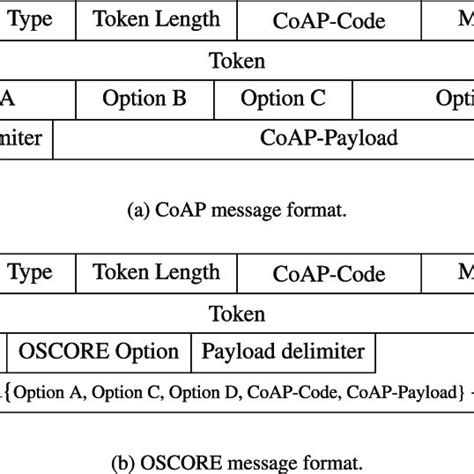 Message Layout With Named Fields For Unprotected A And Protected Download Scientific